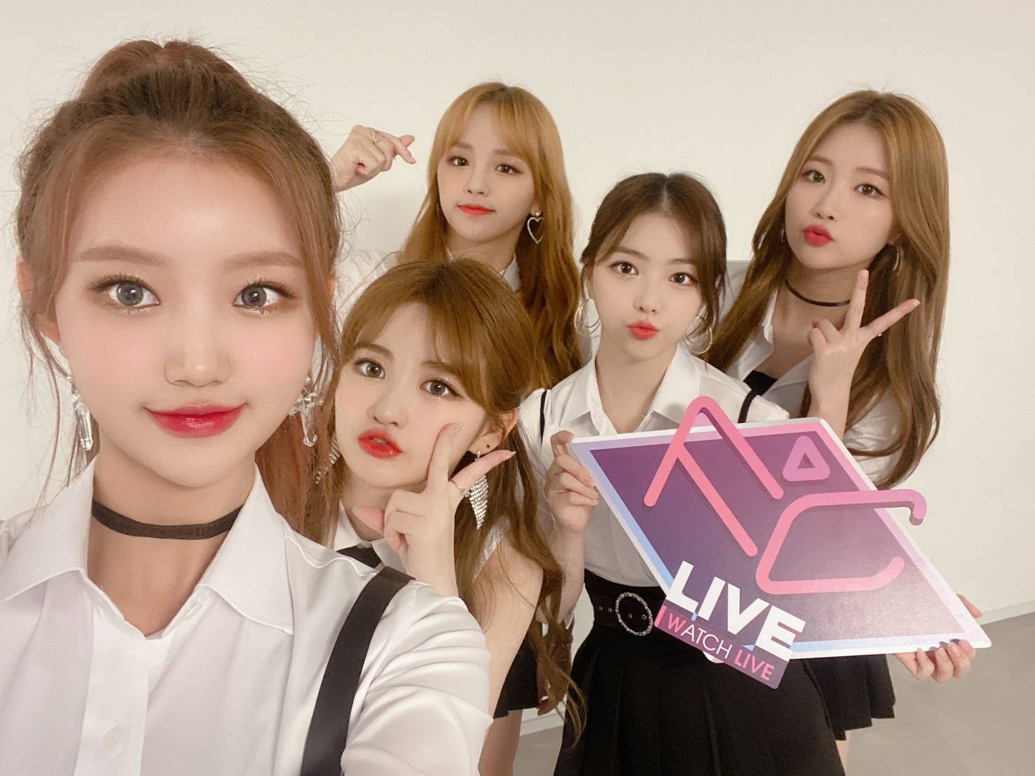 【SATURDAY （セロデイ）】10月24日(土)と25日(日)にオンラインライブ SATURDAY PROMOTION LIVEを開催 ...